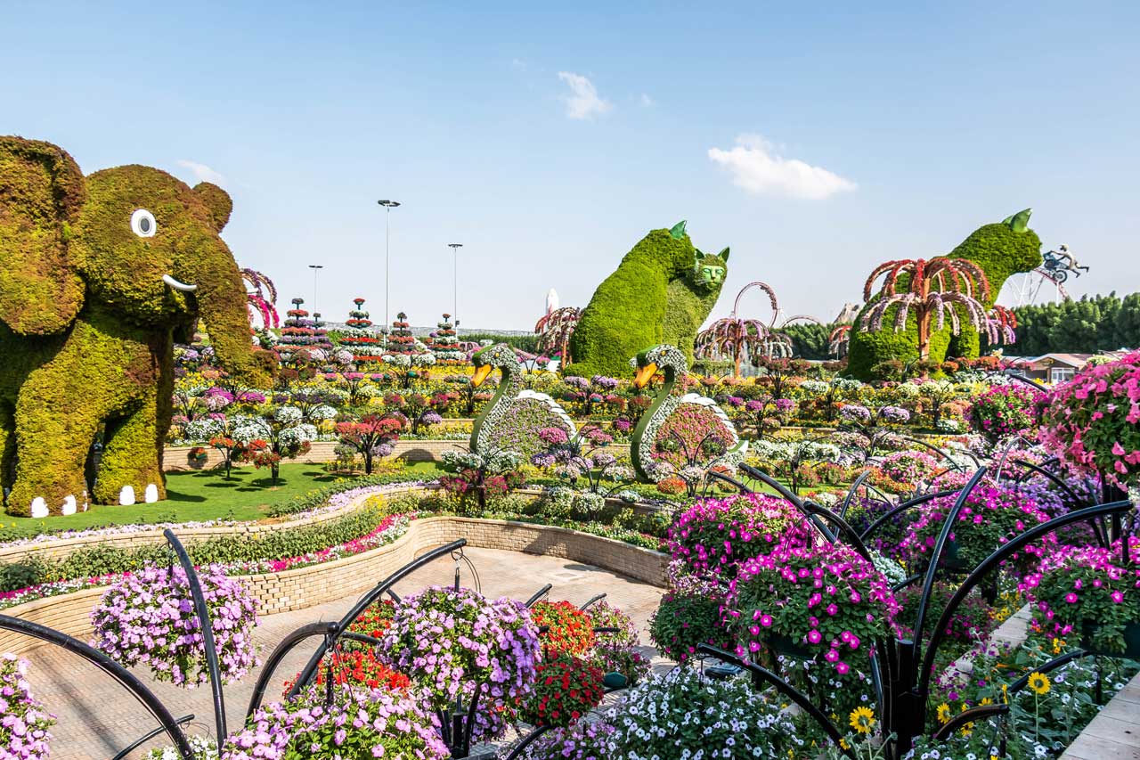 Dubai Miracle Garden : le plus grand jardin de fleurs au monde ! | Bons ...